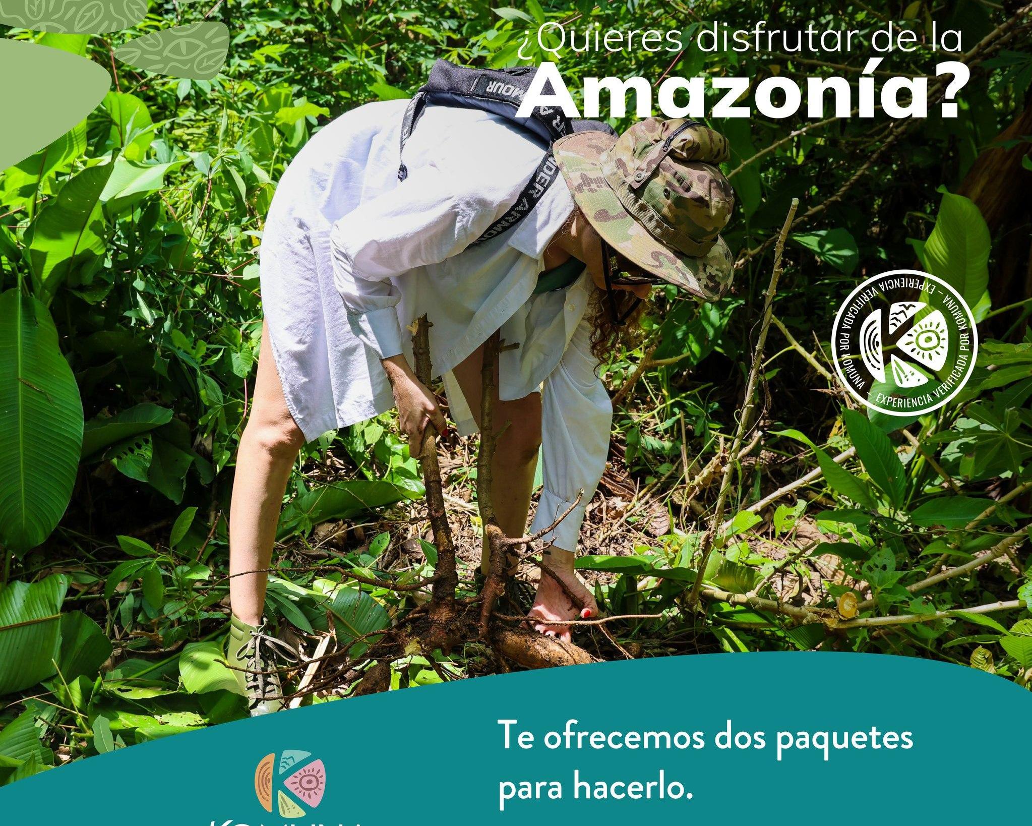 La Ruta del Bufeo + Noche en la selva amazónica desde US$177