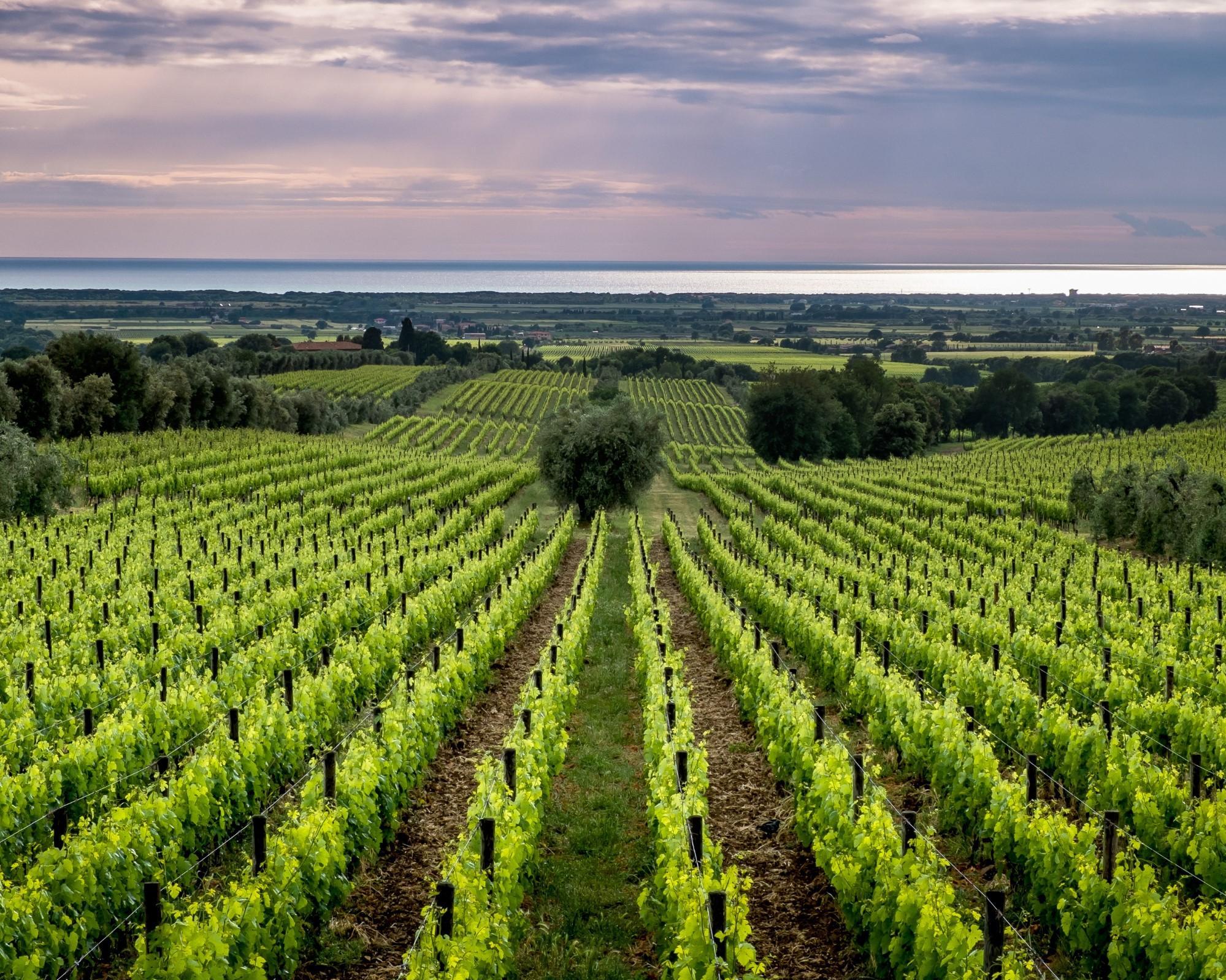 Tuscan Delights Self-Drive Tour 2025 desde 18,058 MXN