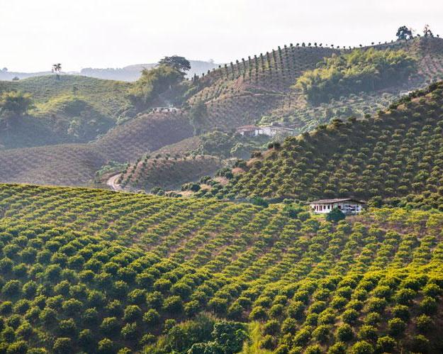 Tintico con alma: Sabor y rumba colombiana from US$840