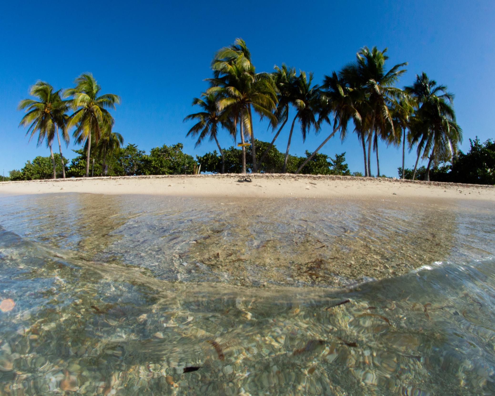 The Great Route of Cuba and Mexico (2025) from US$7,496