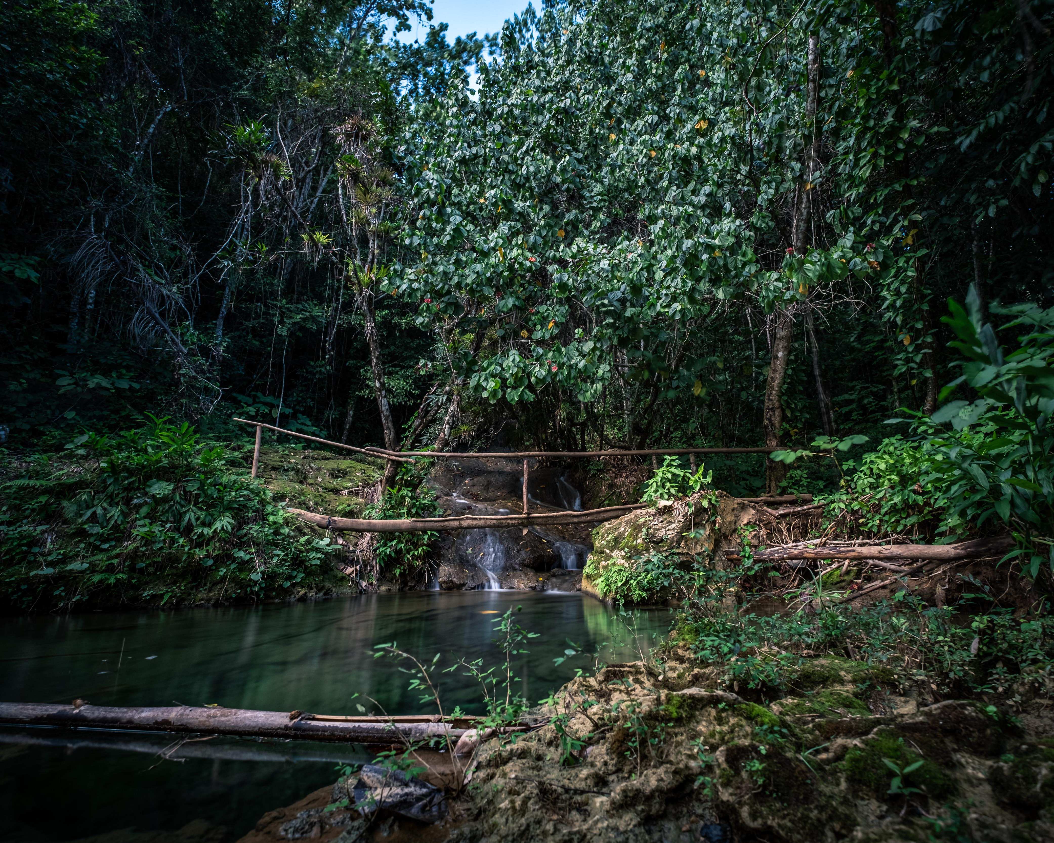 Color Cafe en cuba desde 37,926 MXN