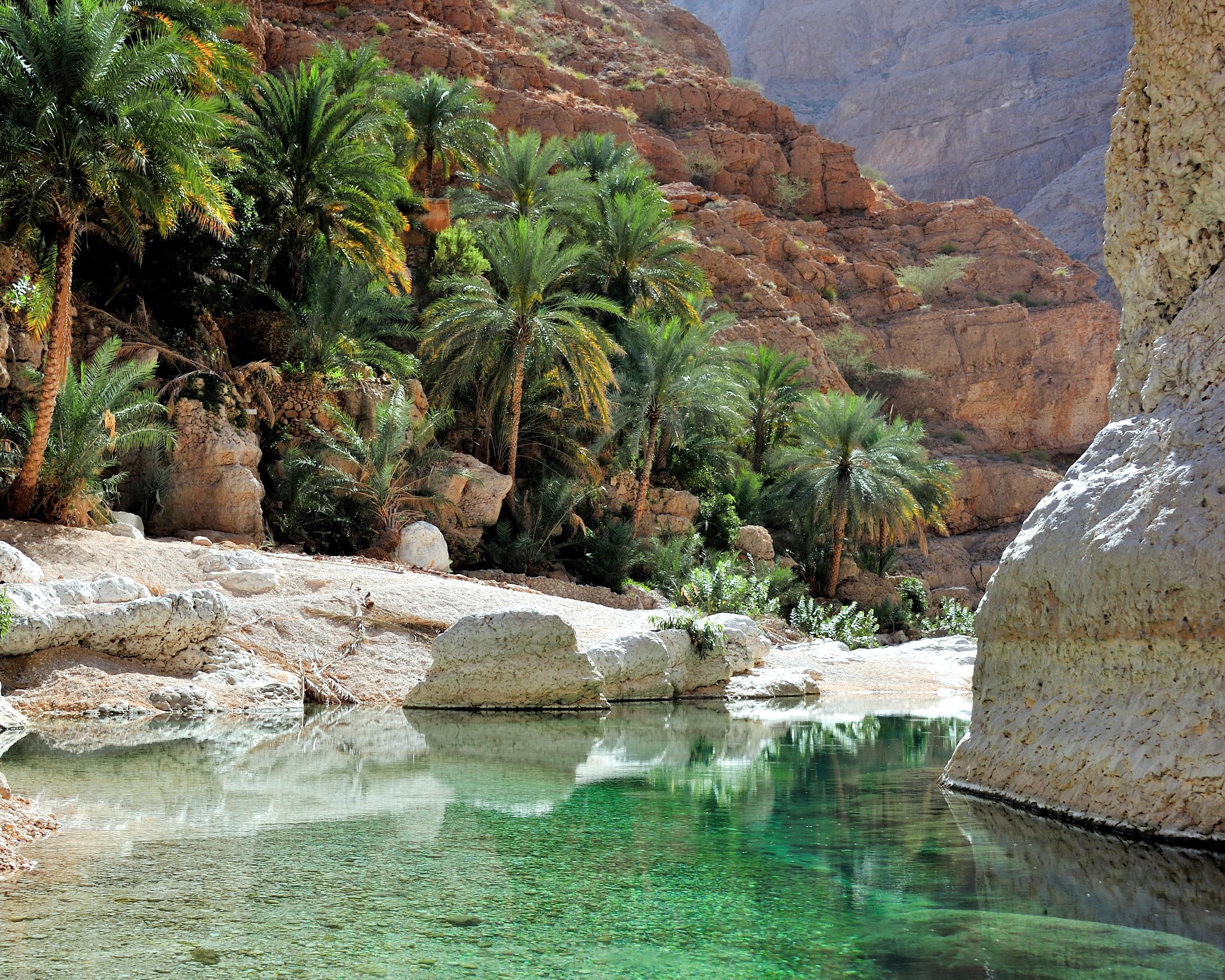 Oman Impressions desde US$2,189