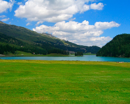 Alpes italianos y Bernina Express: Ruta por Como - Central de Reservas