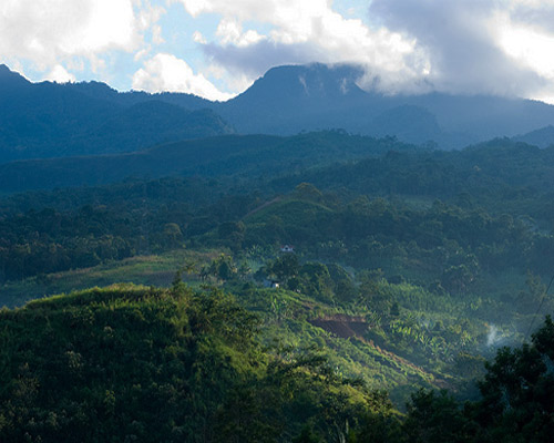 Tarapoto Tradicional 4 Días y 3 Noches desde 7,618 MXN
