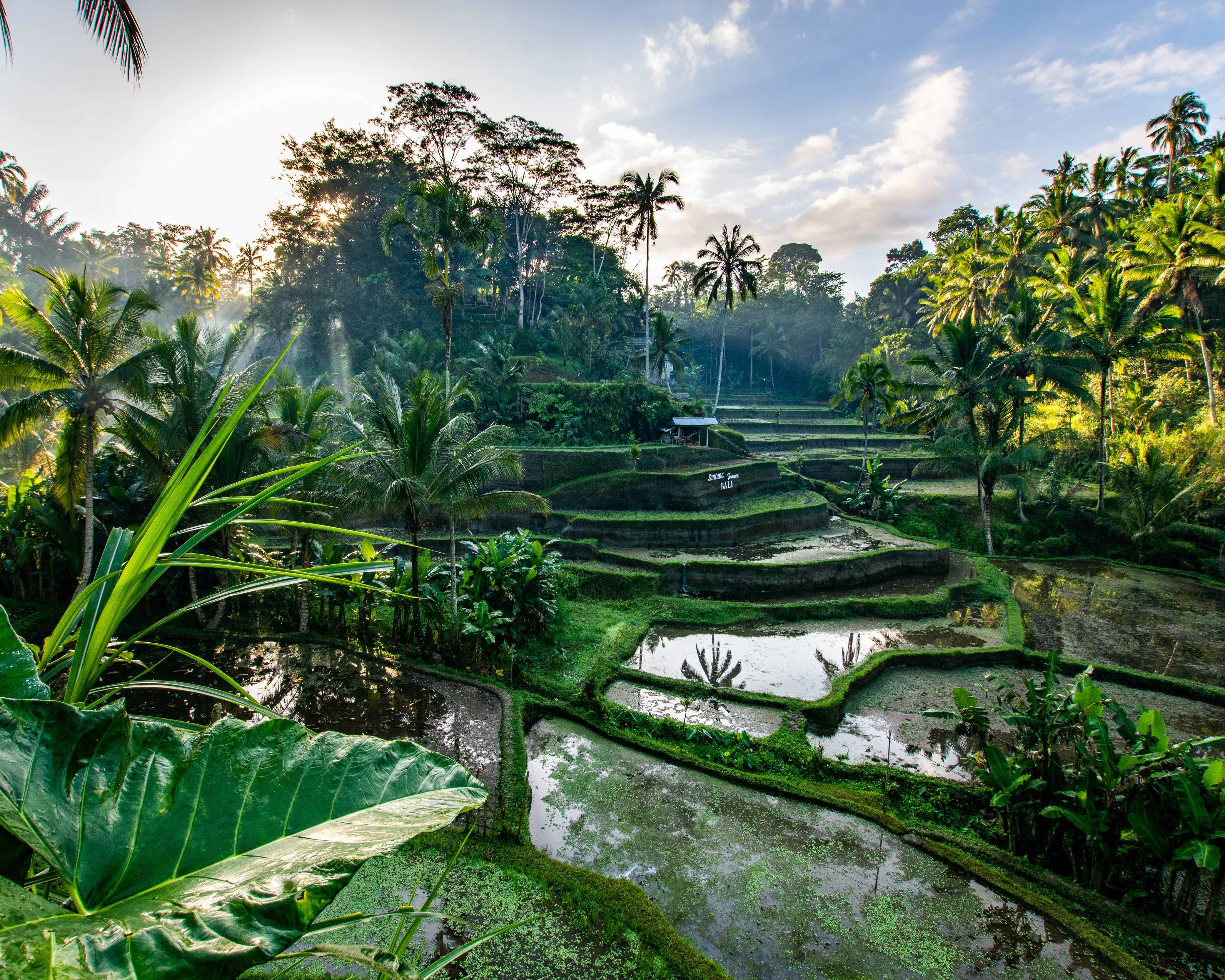 Pachete de vacanta in Indonezia 2025 | Eturia