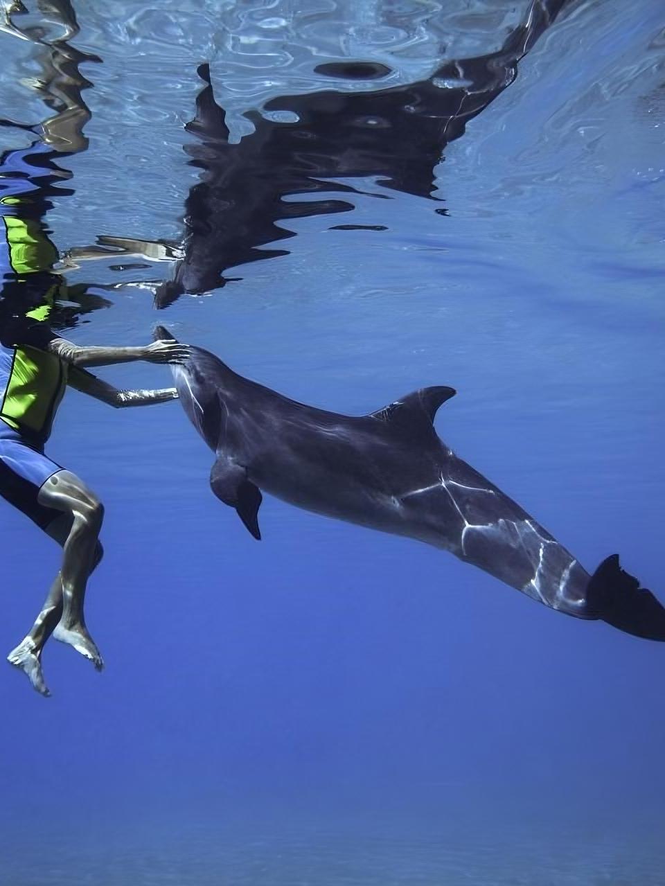 Caravel Travel - Tαξίδια σε όλο τον Κόσμο - Κάνε κλικ και έφυγες